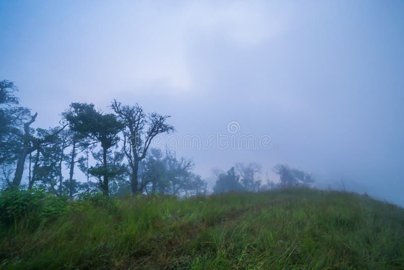 Hills sunrise and mist stock image. Image of open, autumn - 41700213