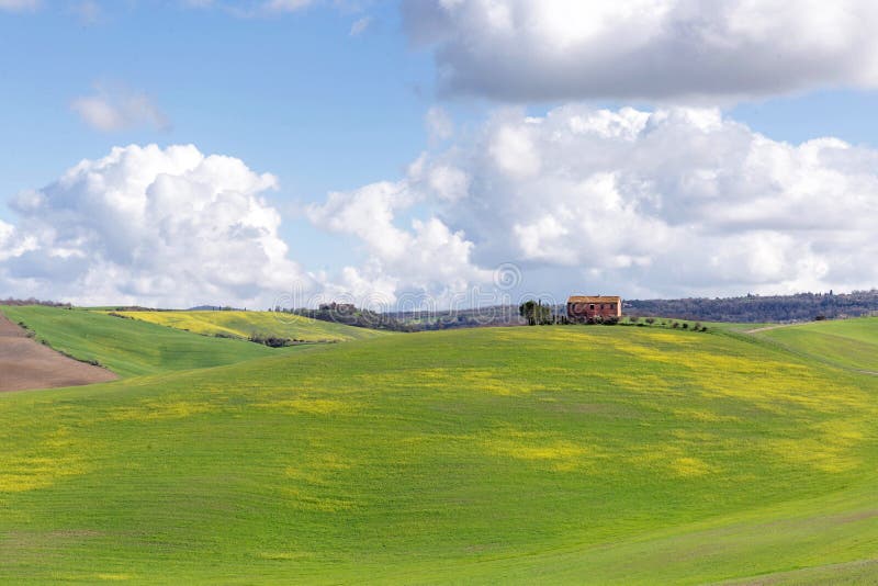Hills of Tuscany stock photo. Image of grass, outside - 122813470