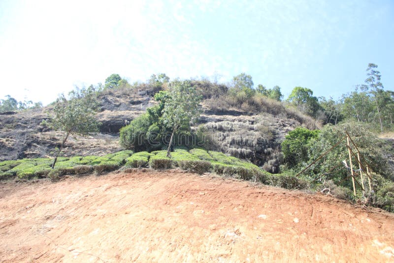 Hills view in Kerala stock photo. Image of kerala, view - 146270438