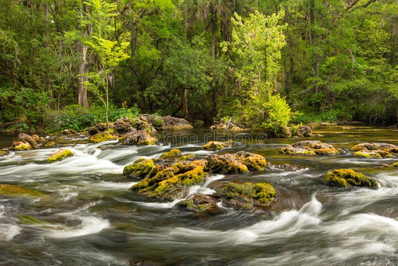 Rapids, Hillsborough River stock image. Image of river - 14255815