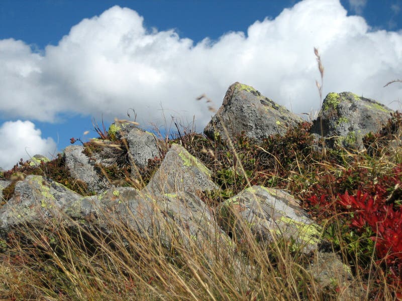 Hillside 2 Picture. Image: 3424105