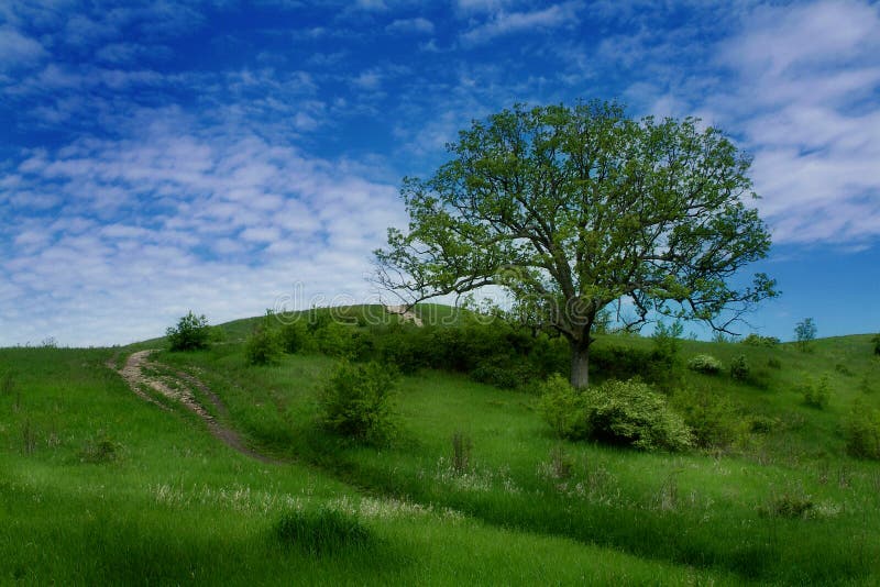 Hillside Picture. Image: 4466490