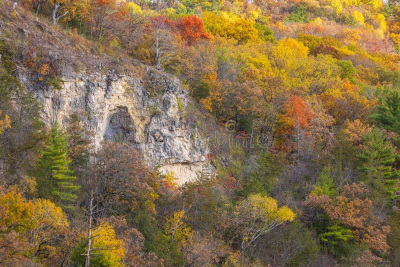 A Hillside Cliff in the Woods during Autumn Stock Image - Image of ...
