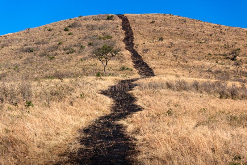 Hillside Dry Long Black Fire Break Stock Photo - Image of fire, colors ...