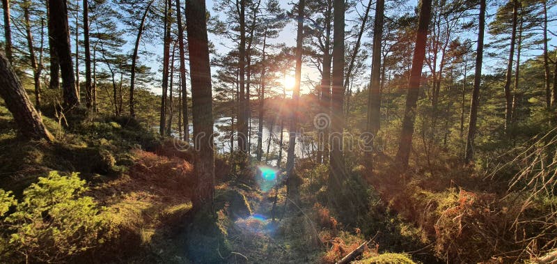 HillSide in the EarlySpring Sun! Stock Image - Image of hillside ...