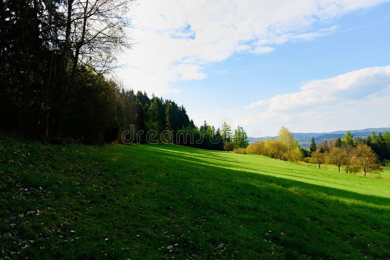 Hillside and Edge of Forest. Spring Landscape Stock Image - Image of ...