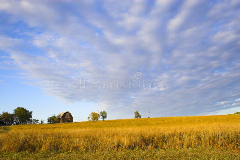 Hillside Farm stock photo. Image of beautiful, agriculture - 3610814