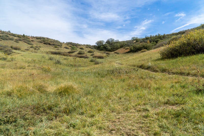Hillside field of grass stock image. Image of landscape - 129843477