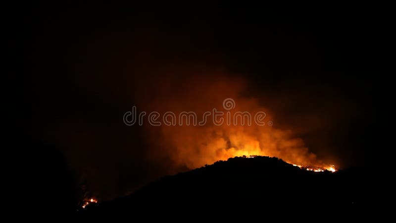 Hillside Fire Silhouette stock footage. Video of forest - 47020572