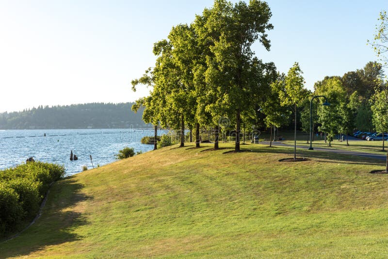 Hillside Lake Scene in Hubei Stock Image - Image of forest, wudang: 4512897