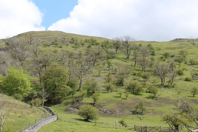 A Hillside Landscape. stock image. Image of country - 236288187