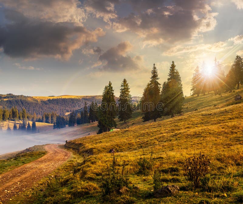 Hillside Meadow with Forest in Mountain at Sunset Stock Photo - Image ...