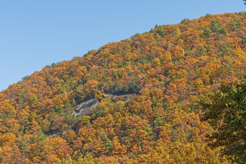 A Hillside of Orange on a Mountain Ridge Stock Image - Image of sunny ...