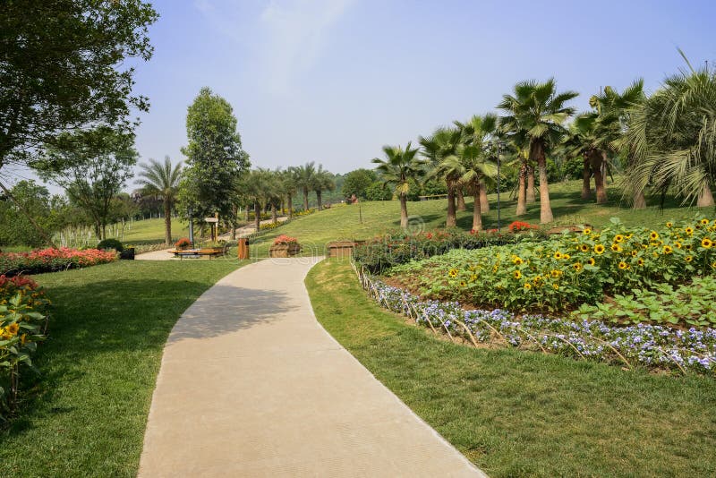 Hillside Path stock photo. Image of blue, colourful, trees - 57149492