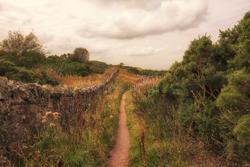 Hillside path stock image. Image of clouds, plants, hills - 71046135