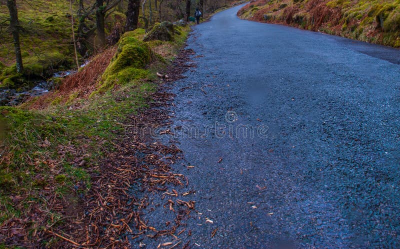 The Hillside Path with Streams beside the Beautiful Path in Autumn ...