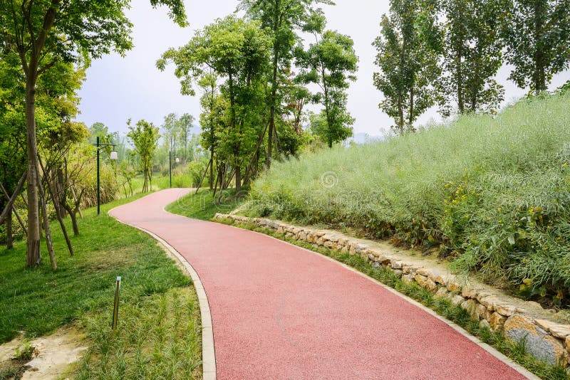 Hillside Red Path in Verdant Spring on Sunny Day Stock Image - Image of ...