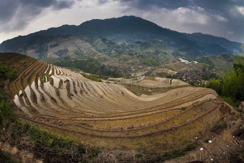 Hillside rice paddies stock image. Image of china, hilly - 16496181