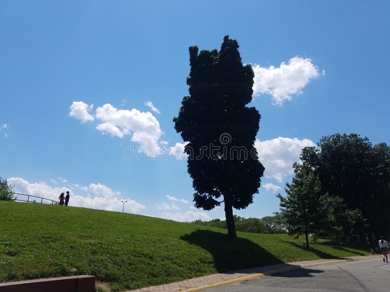 Hillside with Single Tree and Big Sky Stock Image - Image of cloud ...