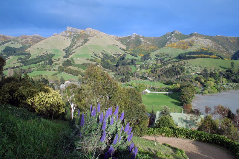 Hillside view stock photo. Image of hillside, flowers - 12205926