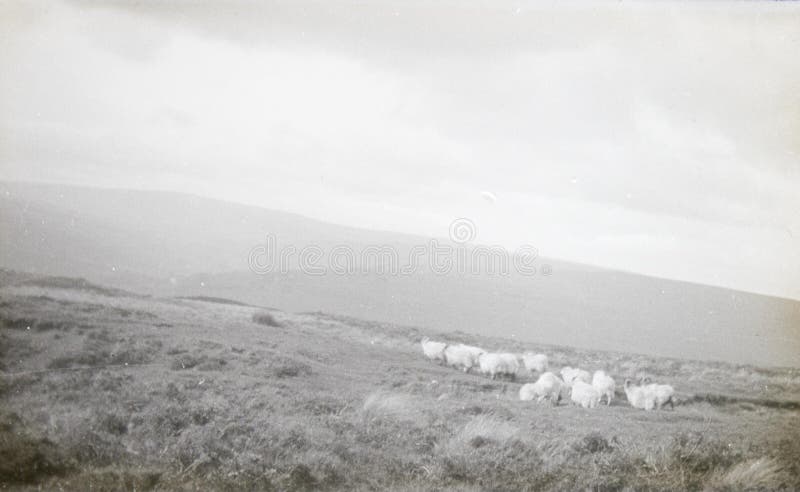 Hillside View Picture. Image: 222402097