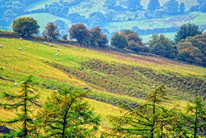 Hillside view stock photo. Image of serene, view, farmland - 49800240