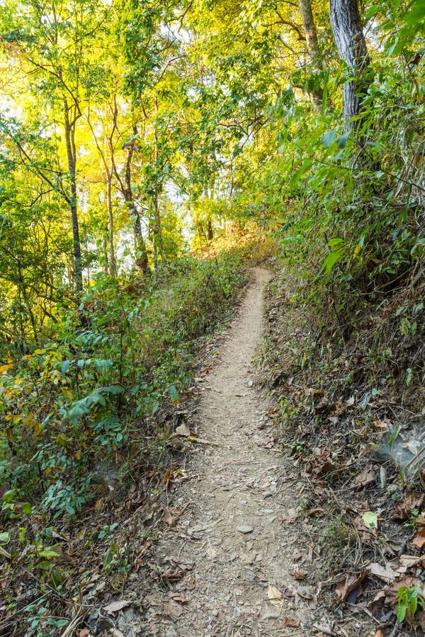 Hillside walkway stock image. Image of beautiful, sunlight - 52235049