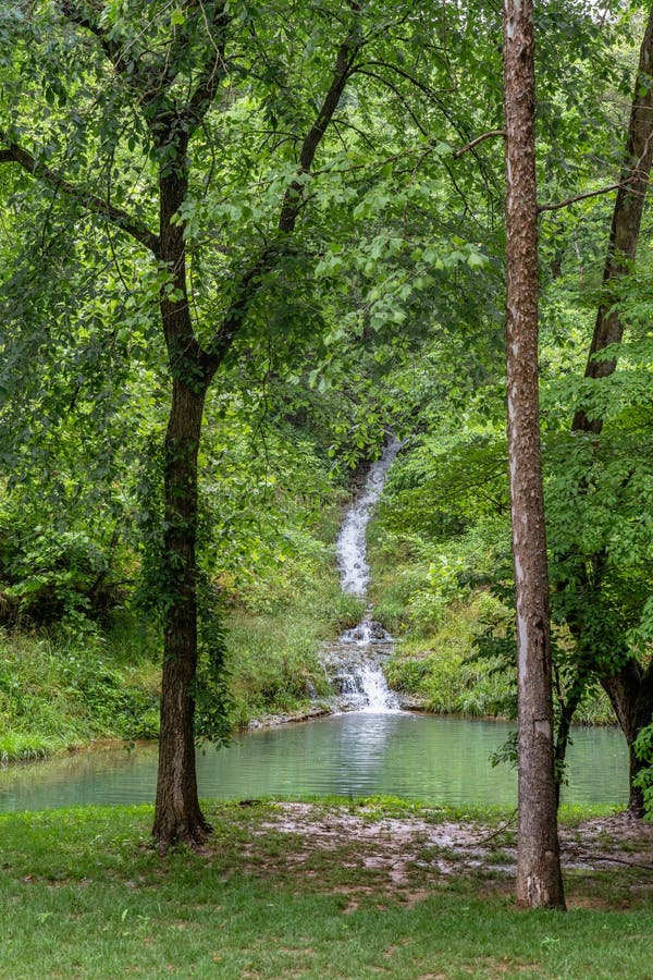 Hillside Waterfall in Forest Stock Photo - Image of forested, brook ...
