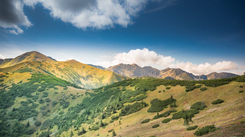 Mountains Karpaty, Ukraine Panorama Stock Image - Image of environment ...
