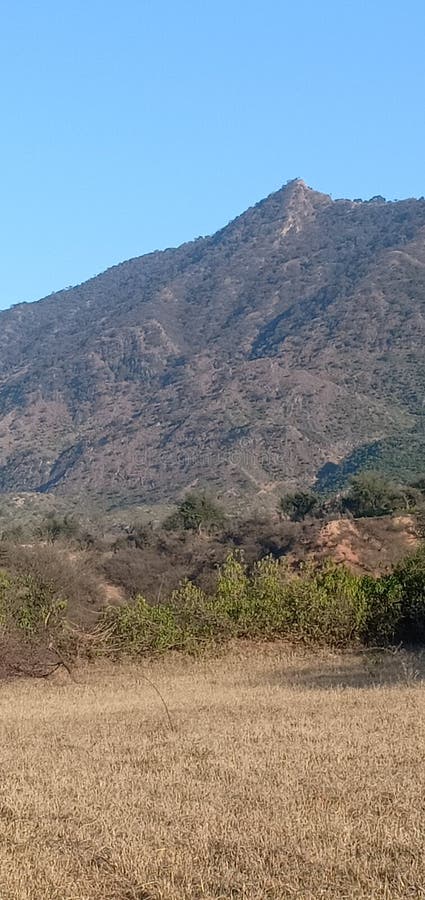 Hilly Area In India.hill, Small Mountain. Tree And Shadow. Dry Hilly ...