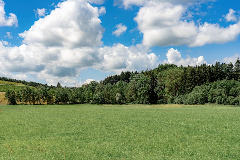Hilly Area with Pine Forest and Thick Clouds in the Sky Stock Image - Image of sunlight, park ...
