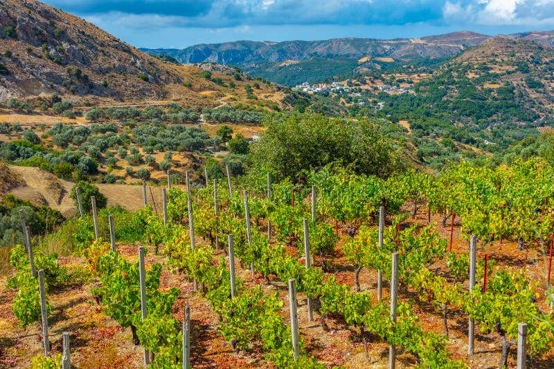 Hilly Countryside of Greek Island Crete Stock Photo - Image of plateau ...