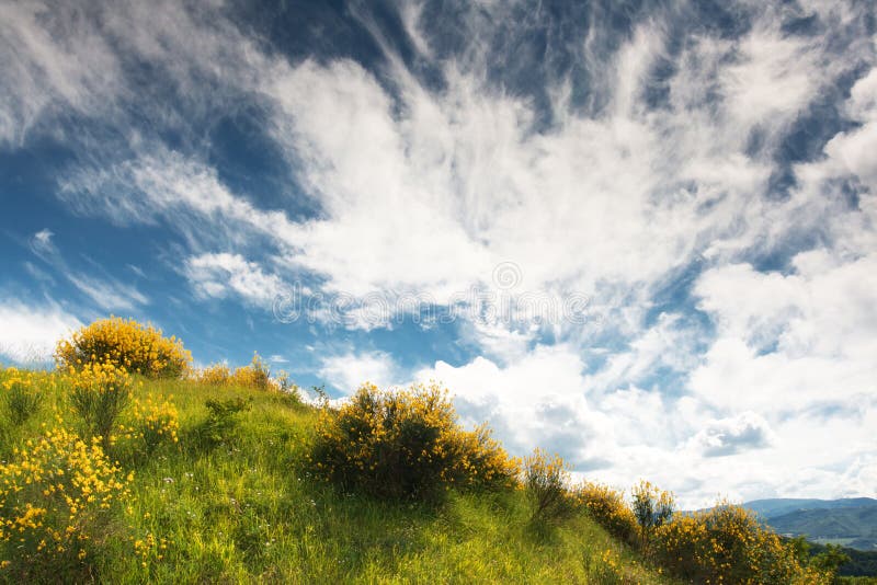 Hilly Countryside of Le Marche, Italy Stock Image - Image of ...