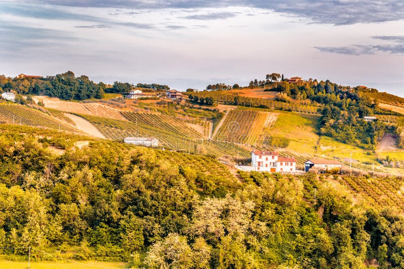Hilly countryside stock image. Image of panorama, relaxing - 72268621