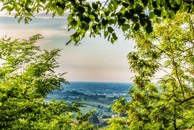 Hilly countryside stock photo. Image of view, italy, olive - 71276902