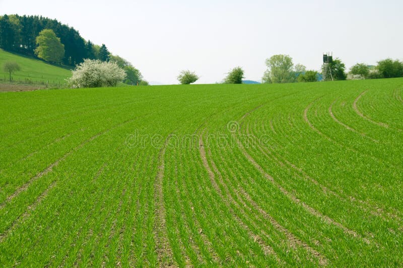 Hilly field stock image. Image of color, remote, freedom - 19375185
