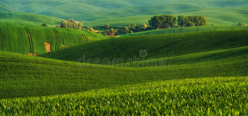 Hilly Field. Agricultural Field Stock Image - Image of farm ...