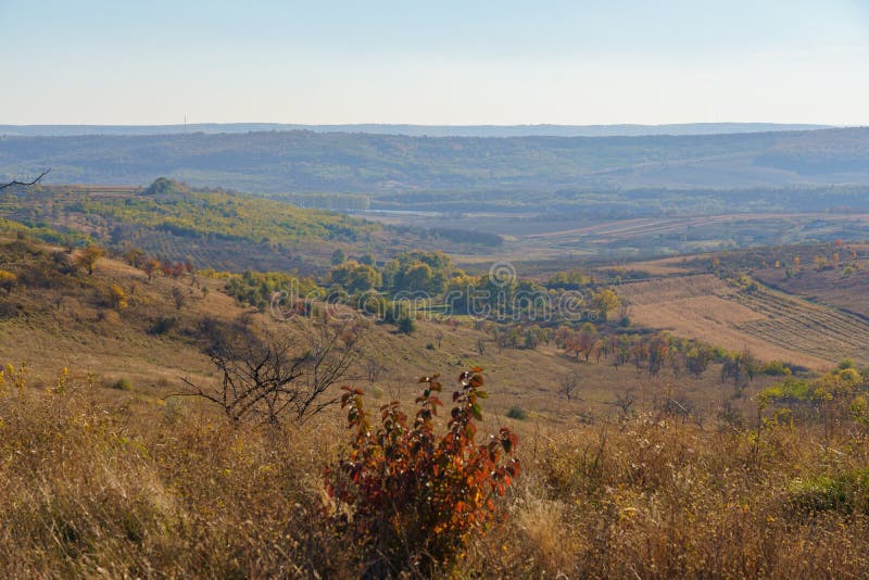Hilly Fields of Eastern European Lowland Nature. Background with Copy ...