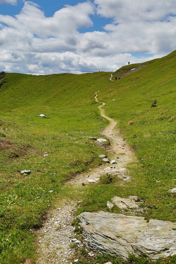 Hilly Landscape Path stock photo. Image of fresh, environment - 66650880