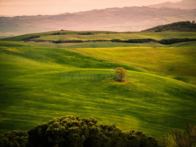 Hilly landscape at sunset stock image. Image of spring - 146947839