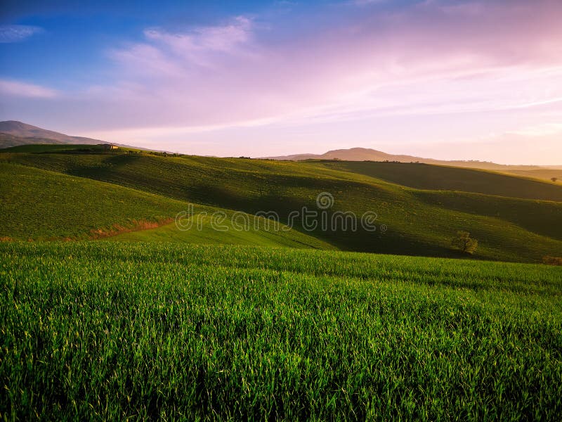 Hilly landscape at sunset stock photo. Image of cypress - 146957368