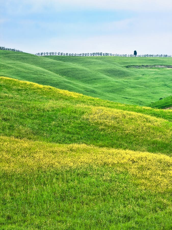 Hilly landscape of Tuscany stock image. Image of horizon - 14411597