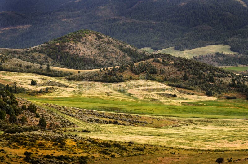 Hilly Mountains Farming stock photo. Image of agriculture - 43401308
