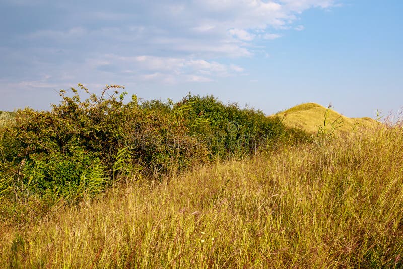 The Hilly Nature of Eastern Europe. Background with Copy Space for Text ...