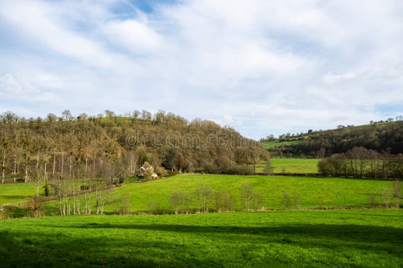 Hilly Terrain with Green Meadows and Trees in France Stock Image ...