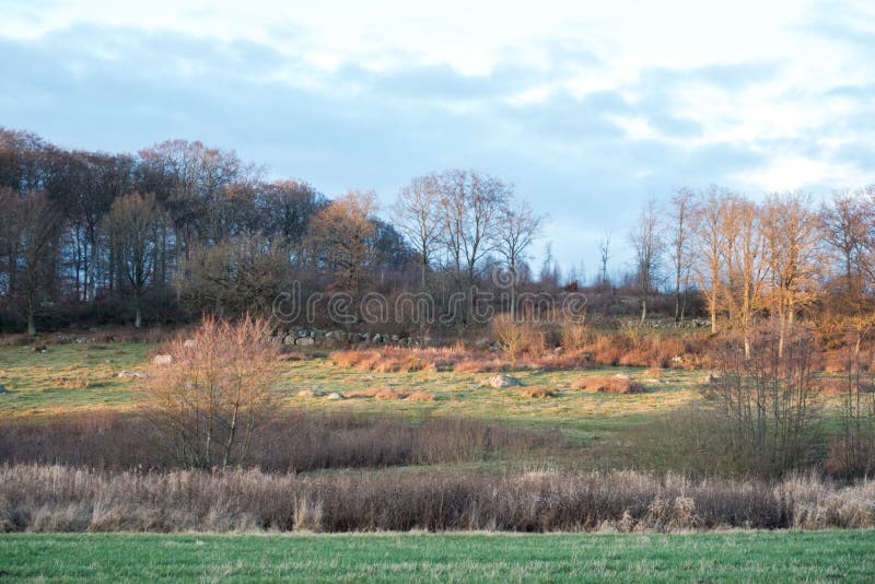 A hilly view stock image. Image of cold, autumn, meadow - 117328987