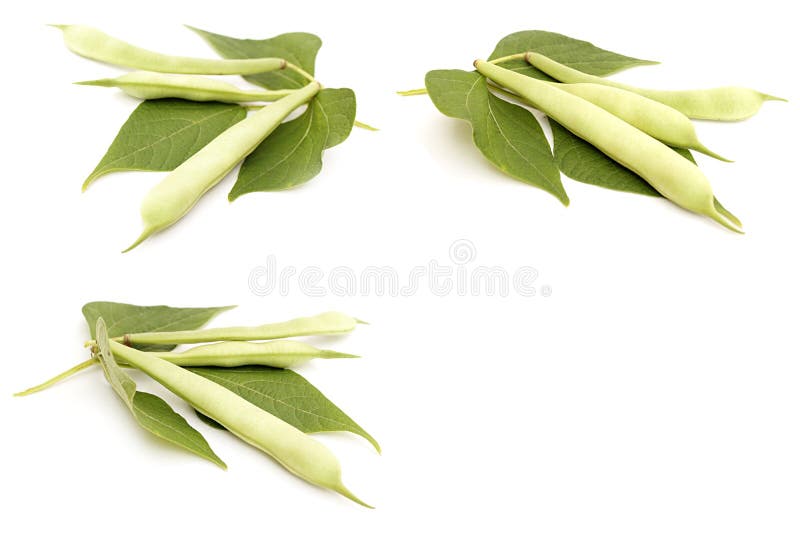 Hilo foto de archivo. Imagen de grupo, manojo, fresco - 21595924