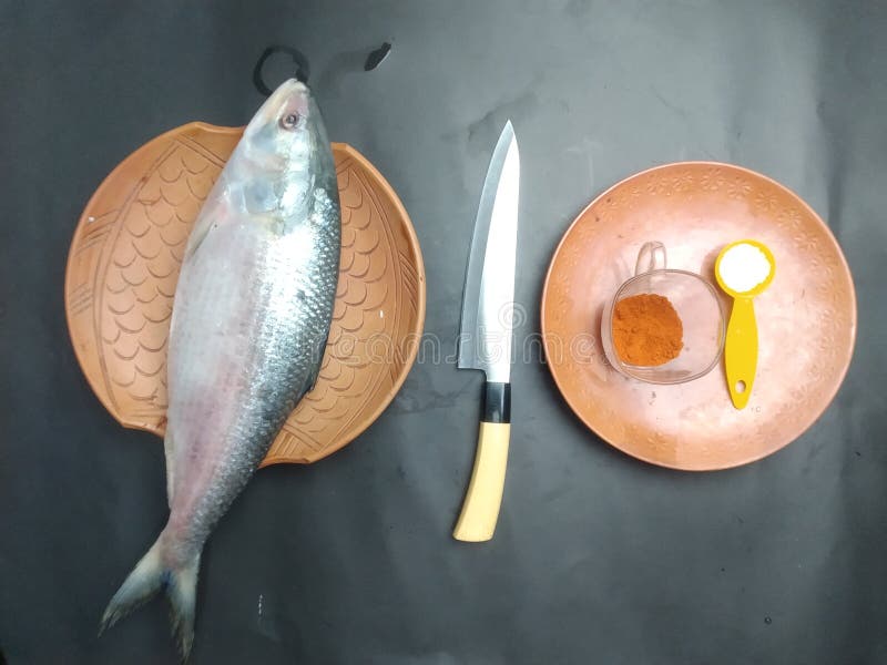Hilsha Fish is a National Fish Stock Photo - Image of seafood ...