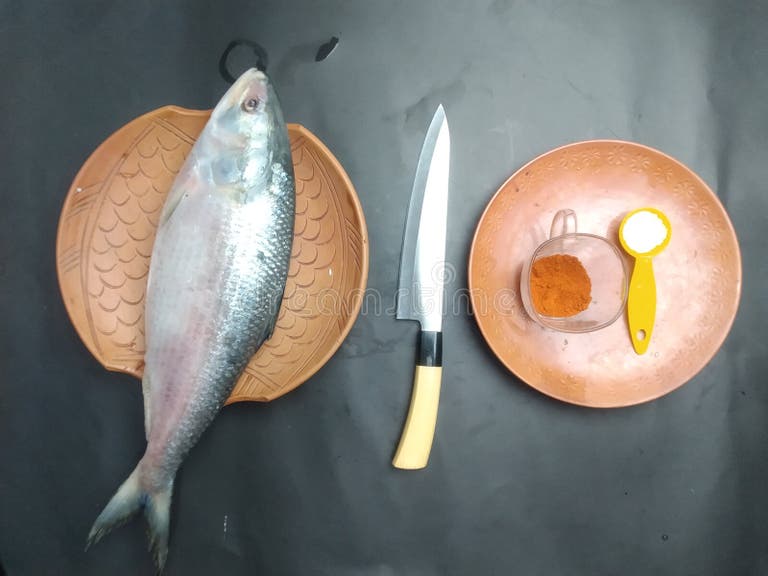 Hilsha Fish is a National Fish Stock Photo - Image of seafood ...