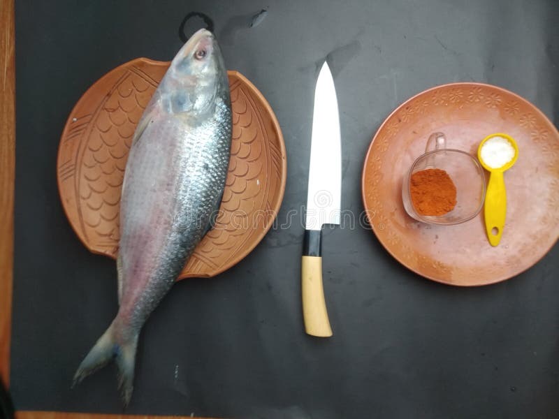 Hilsha Fish is a National Fish Stock Image - Image of fish, salt: 254586027
